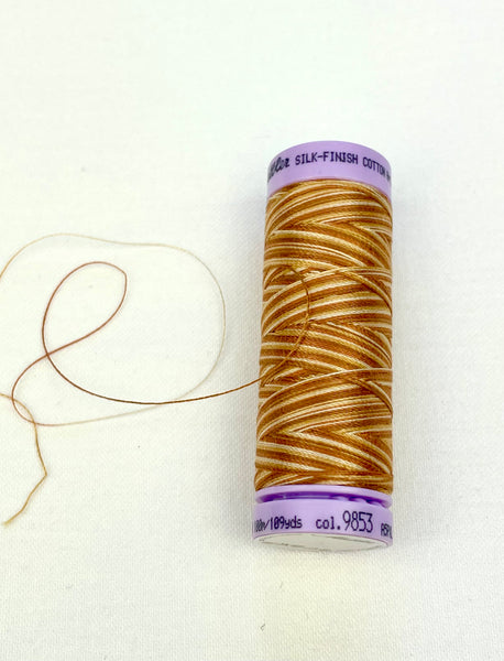 Small Harvest Variegated Mettler Thread 9853- 100m – Abigail Mill